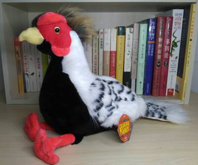 （现货+包邮）zoo coffee仿真白鹇silver pheasant毛绒玩具公仔