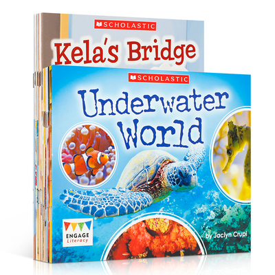 英文原版学乐彩虹桥小学中年级阅读级别Levels 9-11 组合16册Farm Animals/Dinosaur Is Lost 幼儿宝宝趣味益智思想启蒙绘本