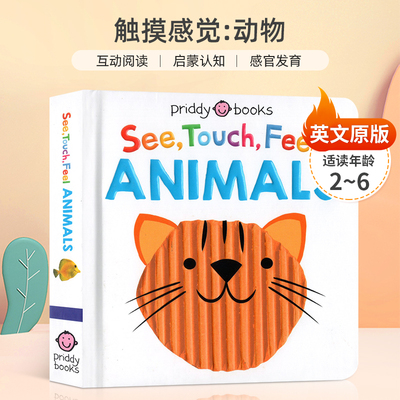 英文原版 See Touch Feel: Animals  触摸感觉;动物 创造力想象力培养触摸书 2-6岁幼儿宝宝启蒙认知触摸书纸板书