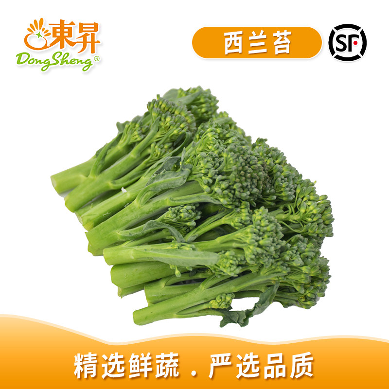 东升农场 东升西兰苔 青花笋 芦笋青花菜 广州蔬菜新鲜配送300g