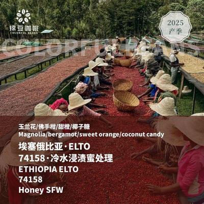 2025埃塞ELTO74158SFW蜜处理