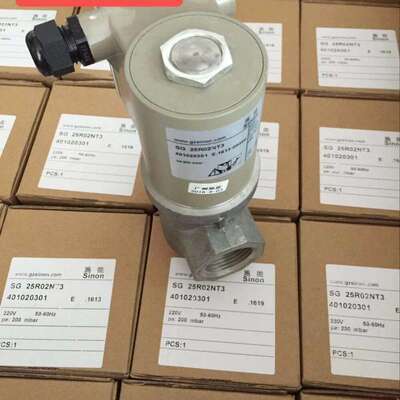 议价SG15RQ/220T电磁阀 SG15R02NT33 SG2可维修