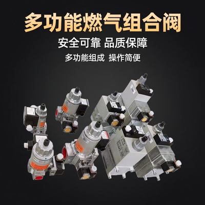 MBDLE410412415420阀组燃气阀