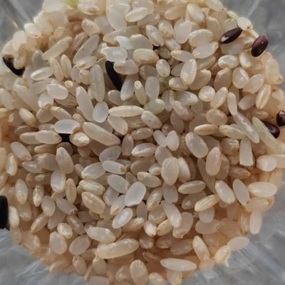 沙漠玫瑰（盐碱地种出来的胚芽米，2025年秋，10斤装）