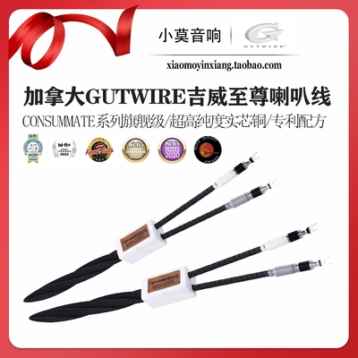 吉威Consummate旗舰版喇叭线