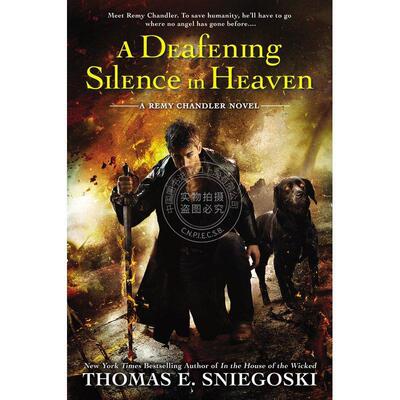 预售 A Deafening Silence in Heaven企鹅兰登
