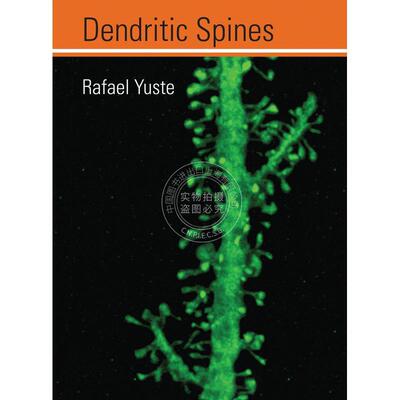 预售 Dendritic Spines 企鹅兰登