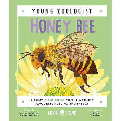 蜜蜂 少年动物学家系列 世界受欢迎传粉昆虫入门指南 英文原版 Honey Bee Young Zoologist 5-8岁