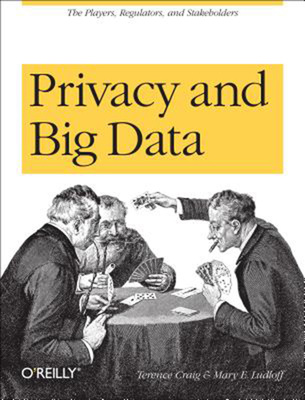 预售 按需印刷 Privacy and Big Data: The Players, Regulators, and Stakeholders