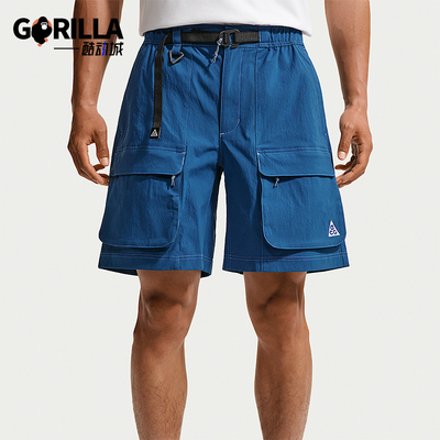 Nike/耐克正品ACG Smith Summit男士工装经典运动短裤HV0594-476