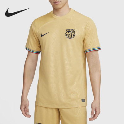 Nike/耐克正品2025男士训练圆领套头透气运动足球短袖DJ7675-715