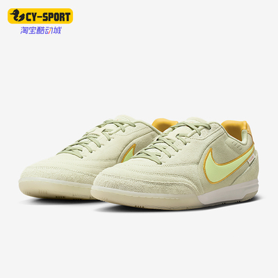 Nike/耐克正品春季男士耐磨时尚休闲经典低帮足球鞋IQ8295-339