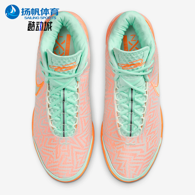 Nike/耐克正品LeBron男士缓震比赛耐磨经典时尚篮球鞋HF0711-301