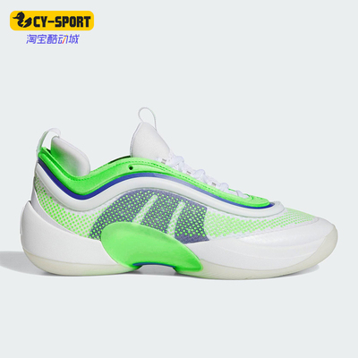 Adidas/阿迪达斯正品ISSUE 6新款男士实战运动耐磨篮球鞋JQ2249