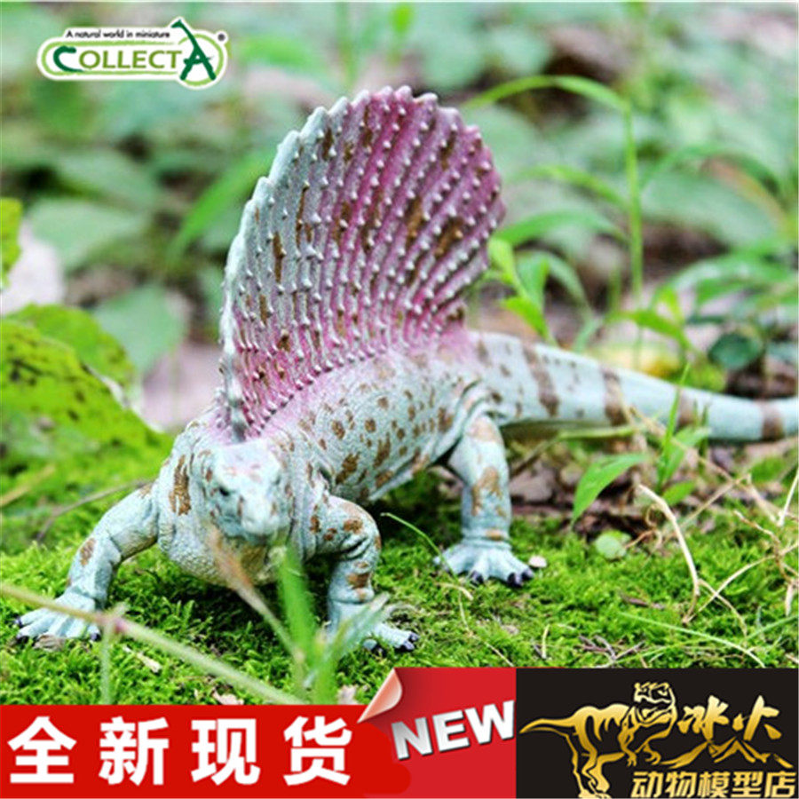 COLLECTA我你他野生动物恐龙模型玩具基龙 88840全新现货_虎窝淘