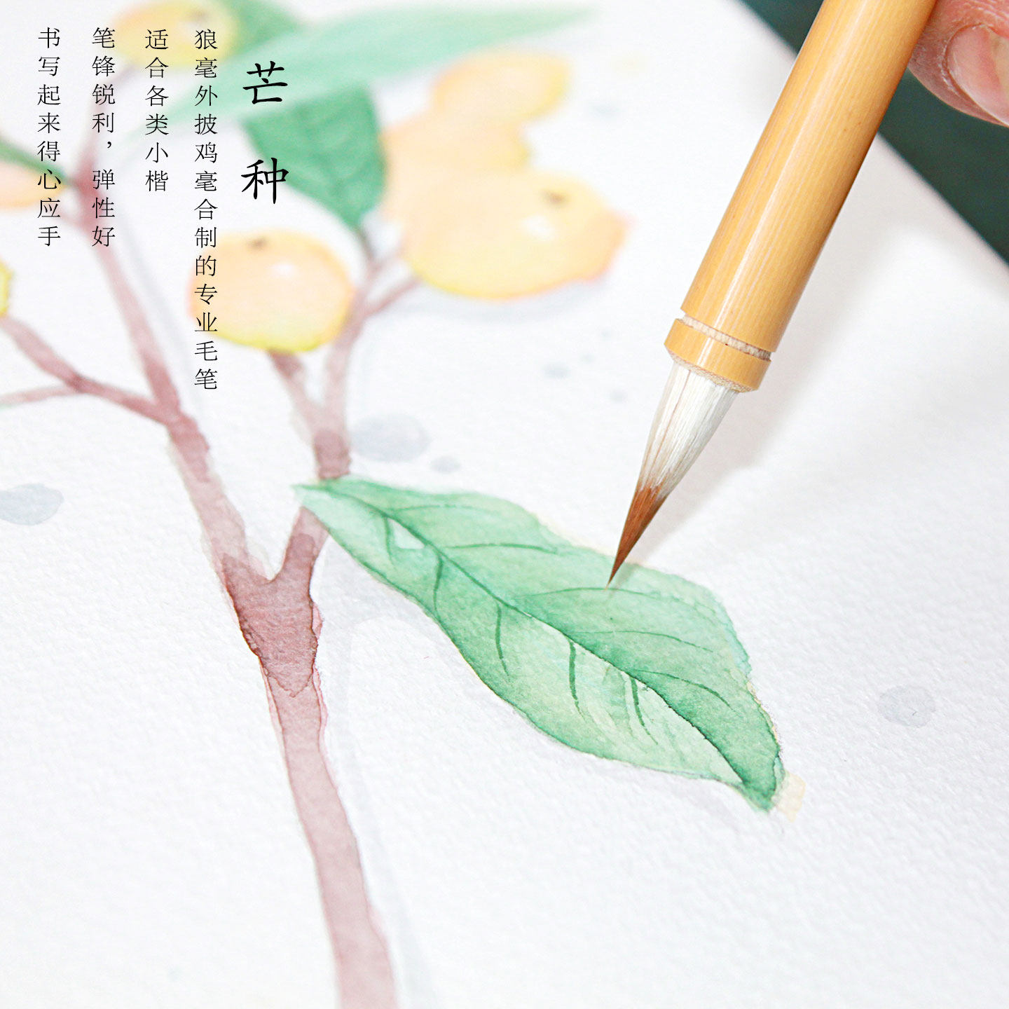 芒种兼毫小楷行书勾线毛笔不好写包退文房四宝湖笔姜思序堂