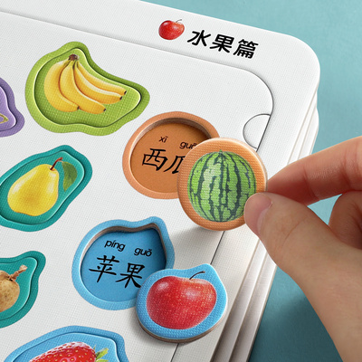 儿童看图识物卡片宝宝早教识字认知识图卡幼儿园认字启蒙有图玩具