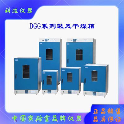 DGG-9140A鼓风干燥箱齐欣
