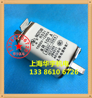上海快速熔断器RS31-100A