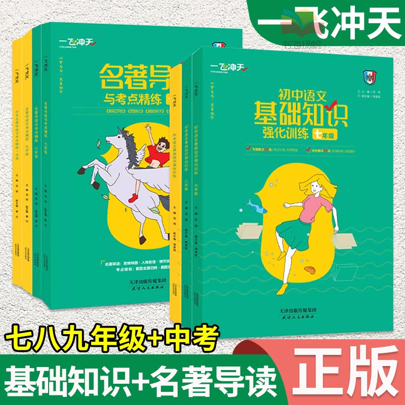 一飞冲天初中语文名著导读与考点精炼初中基础知识强化训练语文七八九年级中考阅读专项训练同步基础知识辅导训练积累与语言运用