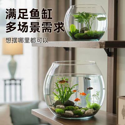 鱼缸水族箱桌面生态金鱼缸塑料高透客厅造景中小型饲养缸造景用品