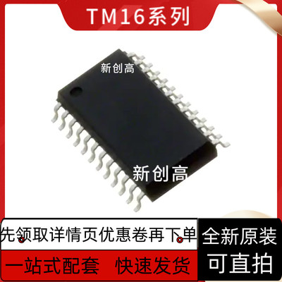 原装 TM1621/TM1621B/C/D SSOP48/SOP28/24 QSOP24 好质量
