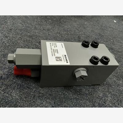 瑞士 布赫 BUCHER双联泵AP300/31-300/31