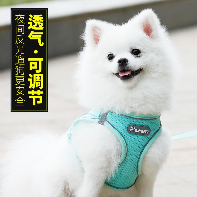 背心式狗狗牵引绳小型犬胸背带小狗幼犬遛狗绳泰迪比熊博美狗链子