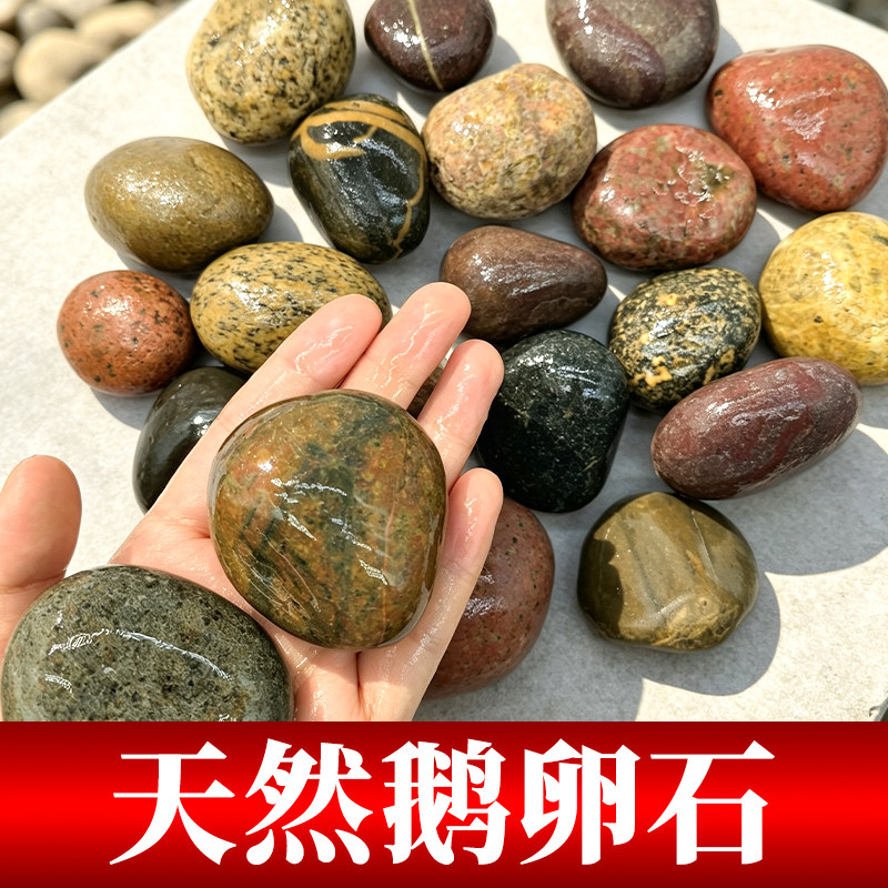 然长江石鹅卵石鱼缸石造景乌龟晒台铺面园艺造景奇石摆件观赏