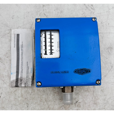 BAUMER BOURDON HAENNI RPPNAA3204 RPPN-AA3.204 G1/2 0.5 + 10