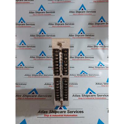 BENTLY NEVADA PWA 79532-01 F 3 Filo RTD Ingressi Terminale