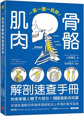 预售 肌肉骨骼解剖速查手册：一页一图一肌群！快速掌握人体7大部位x100个肌肉知识，从健身运动到疼痛修复都能派 苹果屋 上原健志