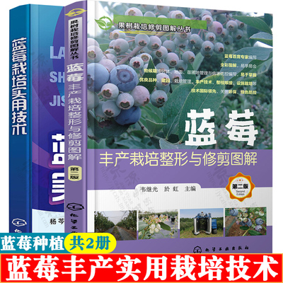 蓝莓栽培实用技术+蓝莓丰产栽培整形与修剪图解第二版 蓝莓病虫害防治 蓝莓高产稳产种植培育技术大全 蓝莓高效栽培 蓝莓种植书籍