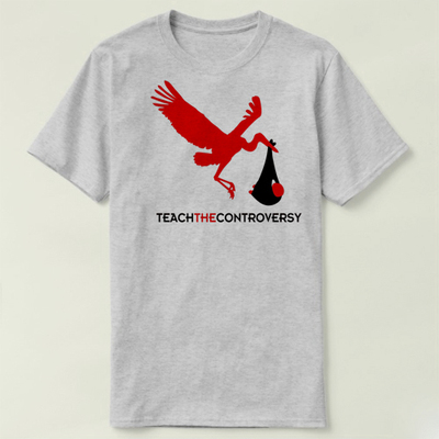 ControversyT-ShirtTeachStork男