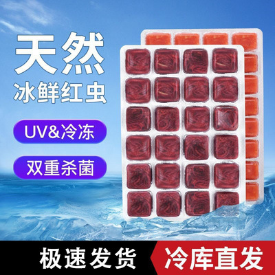 yee红线虫冰冻鱼饲料食牛心汉堡赤水蚤丰年虾罗汉食七彩神仙饲料