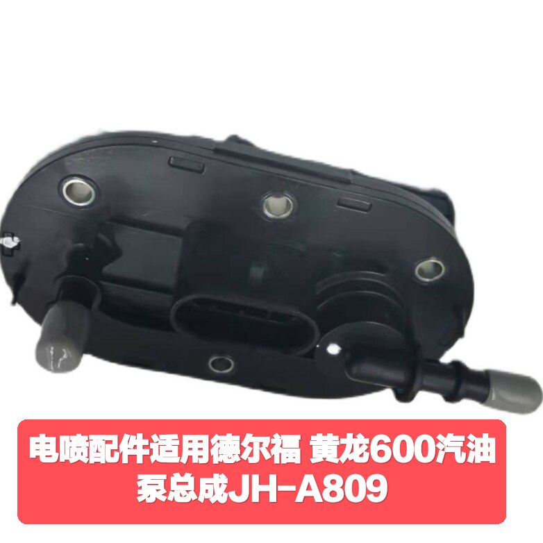 电喷三轮车新款配件适用德尔福黄龙600汽油泵保护AGY/机怪HA809