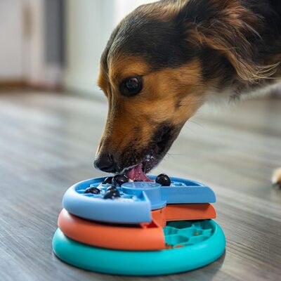 代购 Outward Hound 三层舔舔乐狗狗丰容互动喂食益智玩具慢食碗