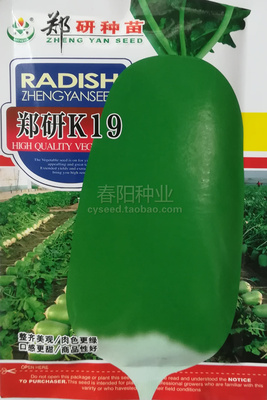 郑研k19萝卜种子青皮口感脆甜