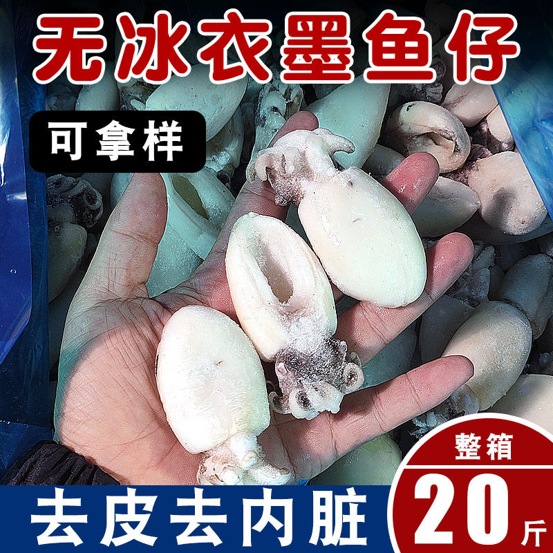 墨鱼仔商用新鲜冷冻生鲜去内脏冰鲜海鲜火锅日料烧烤食材小墨鱼仔
