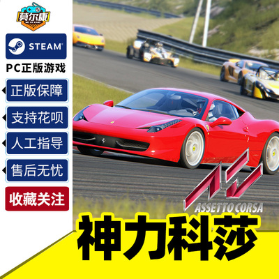 PC中文正版 steam神力科莎 Assetto Corsa CDK激活码神力科莎争锋