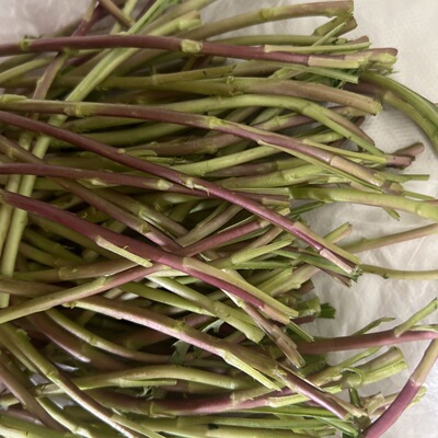 新鲜野生红蒿子芦蒿黎蒿去叶净菜藜蒿野菜免摘南京特产露天蔬菜