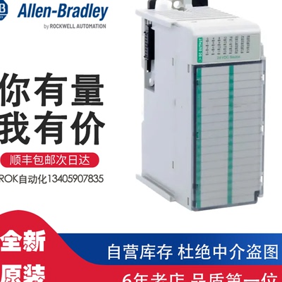 1769-OB32T AB罗克韦尔 输模块  CMPLX 32 Pt 24VDC