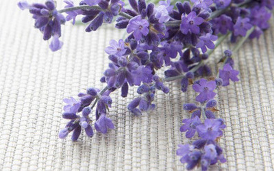 怡神幽静 薰衣草 独立包装  气味控 香味图书馆 香水 2ml