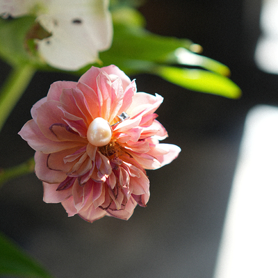 Cha 官方 | Soft Mountains软山mini Blur淡水珍珠耳钉