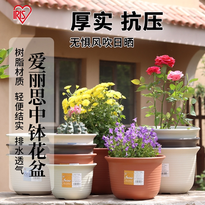 爱丽思加厚加仑树脂圆形中钵绿萝多肉月季花盆仿陶瓷爱丽丝塑料盆