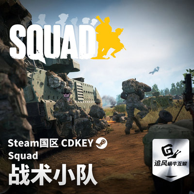 Steam 正版 PC 游戏 战术小队 Squad 国区激活码 CDKEY