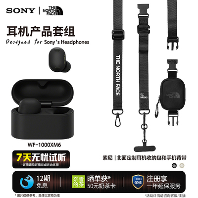 Sony/索尼WF-1000XM6 双芯超旗舰降噪真无线耳机北面联名款套装