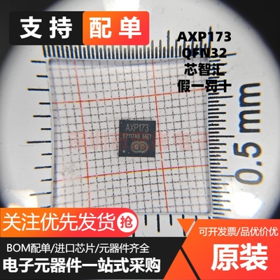 全新原装进口 AXP173 QFN32 电池电源管理芯片IC