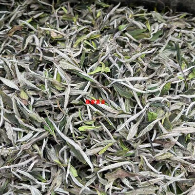 管阳牡丹王兰花香福鼎白茶高山白牡丹2026年毫香清甜一斤500g