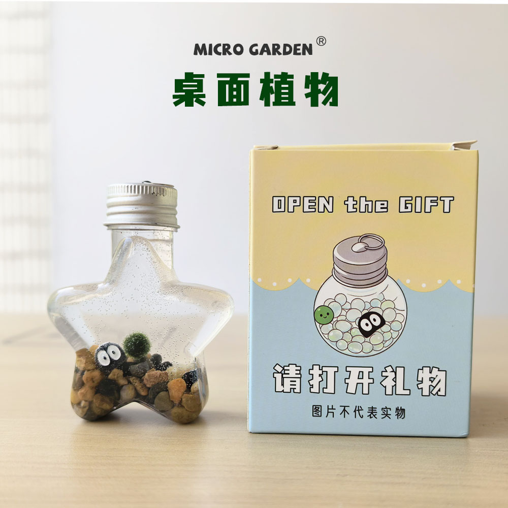 海藻球小生态瓶室内耐阴情绪稳定迷你植物办公室宿舍桌面解压好养